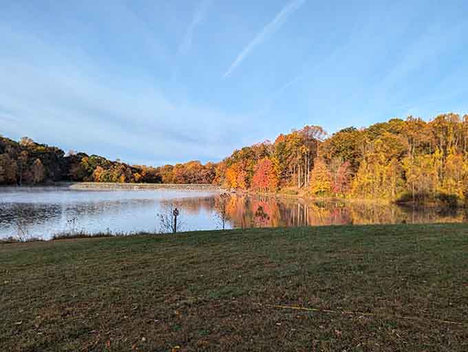 Autumn fire blazes across the hillside and doubles itself perfectly in the calm lake surface below, like nature showing off without apology.