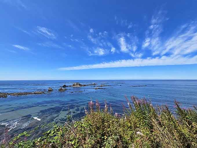 Wildflowers frame crystal-clear waters where offshore rocks stand guard, offering whales a scenic route along the rugged coastline.