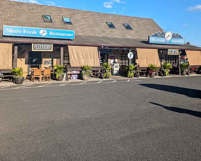 On a sunny day, the Shore Fresh Restaurant and Seafood Market side by side look like the best two-for-one deal on the Jersey Shore.