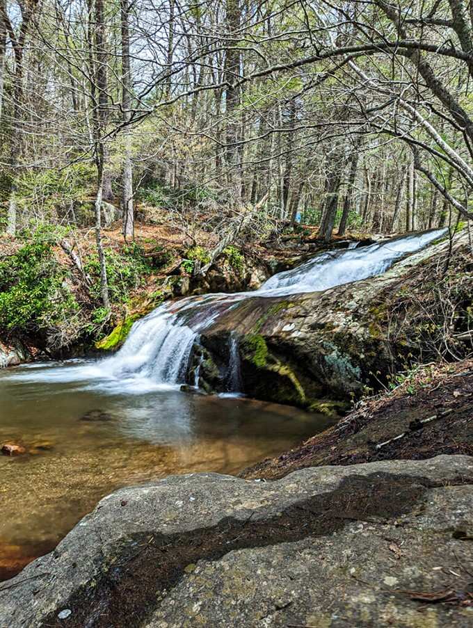 The way this waterfall curves through the bare winter woods reveals nature's elegant architecture in stunning detail.