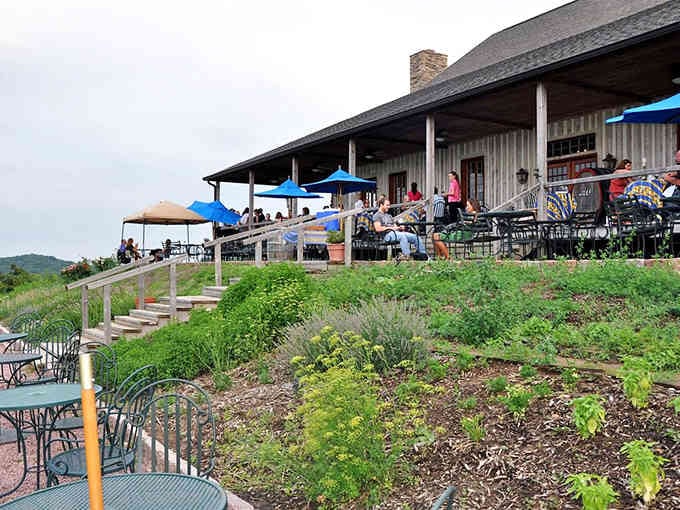Hillside dining with valley views proves the best tables don't need reservations, just good timing.