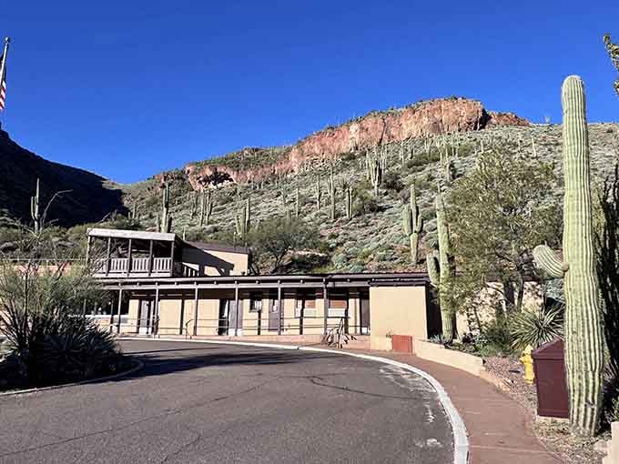 Saguaros standing guard over the visitor center create a welcoming committee you won't find anywhere else on Earth.