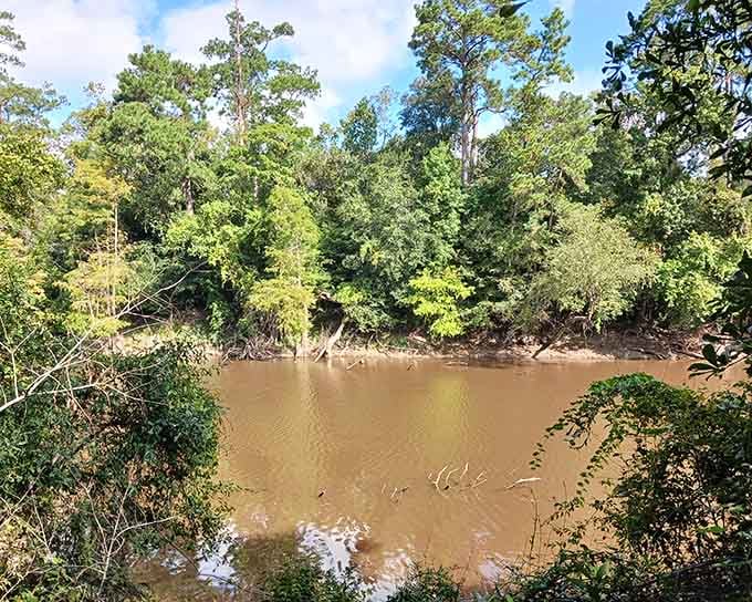 Village Creek runs wide and brown through a lush green canopy, looking gloriously untouched and wonderfully unhurried.