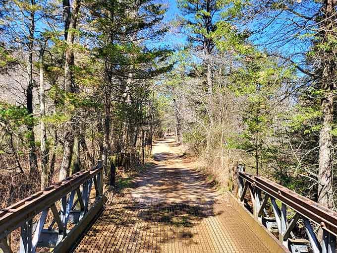 A rusted iron bridge leading into a pine-lined sandy trail feels like the official gateway to New Jersey's most untamed landscape.