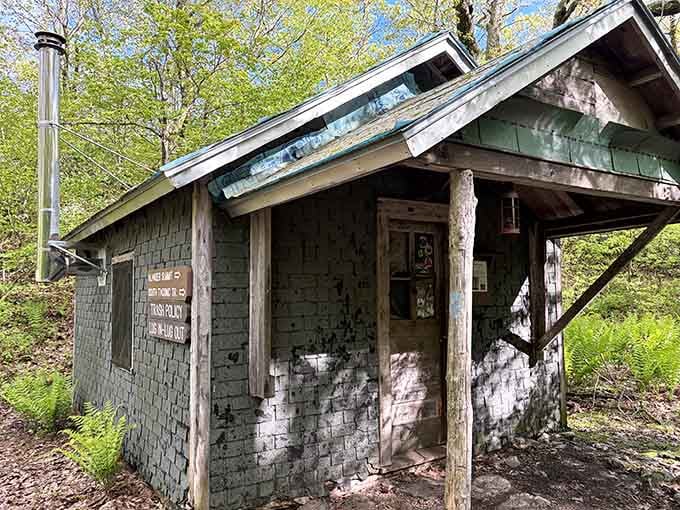 This weathered shelter has seen more sunrises than most of us have had hot dinners, and it's still standing strong.