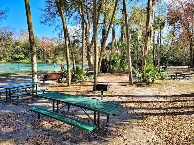 Picnic tables with a spring view. Honestly, your lunch has never had a better backdrop.