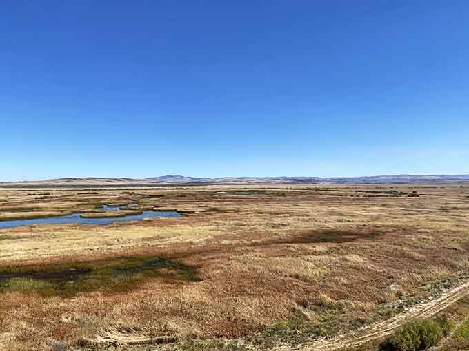 Seasonal puddles transform the landscape into nature's watercolor painting, all earth tones and reflected sky meeting at the horizon.