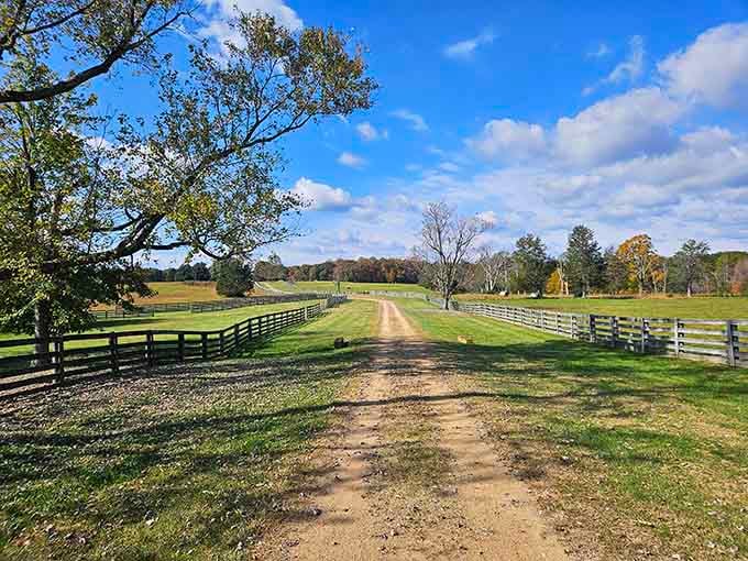This dirt road lined with wooden fences doesn't just lead somewhere beautiful, it leads somewhere genuinely unforgettable.