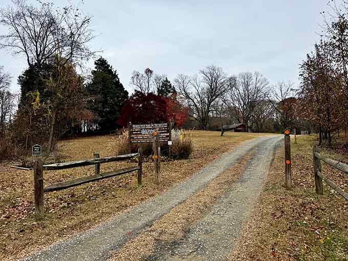 That gravel path at Spriggs Farm Park is an open invitation, and the trees on either side are already whispering "just keep walking."