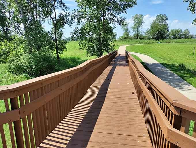 Boardwalks wind through wetlands like nature's red carpet, leading you to encounters you'll actually want to post about online.