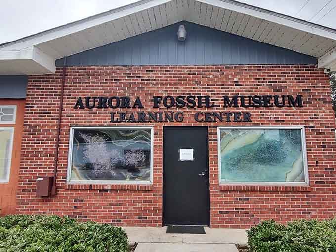 The Learning Center means the Aurora Fossil Museum isn't just a day trip, it's practically a whole curriculum.