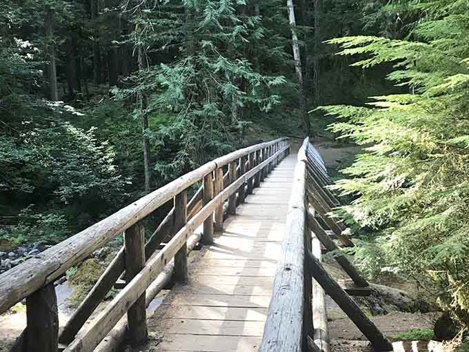 A log bridge leads the way, because even the path to relaxation has good bones here.