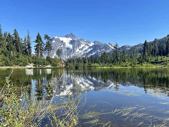 Mount Baker's snow-capped reflection sitting perfectly in still water. Nature really does know what it's doing.