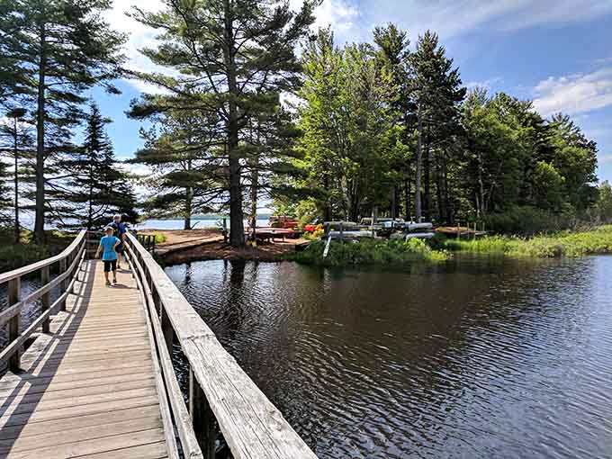 A wooden boardwalk, calm lagoon water, and tall pines. This is Wisconsin doing its absolute best work.