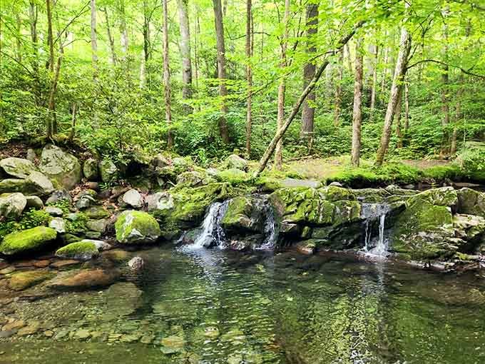 Moss-covered rocks and crystal water so pretty it almost feels rude to walk past without stopping.