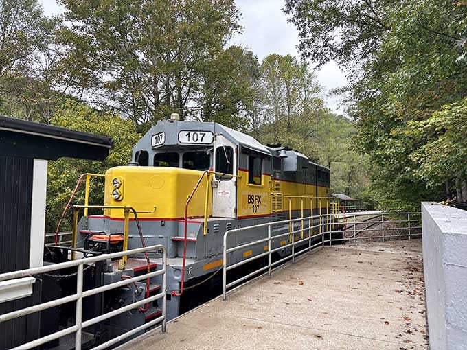 Locomotive 107 rolls in wearing its bold yellow and gray, the flashiest dressed member of this whole Kentucky operation.