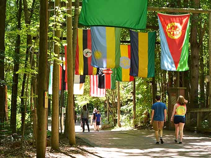 Colorful flags swaying through sun-dappled trees. This shaded pathway feels like a stroll through a living world atlas.