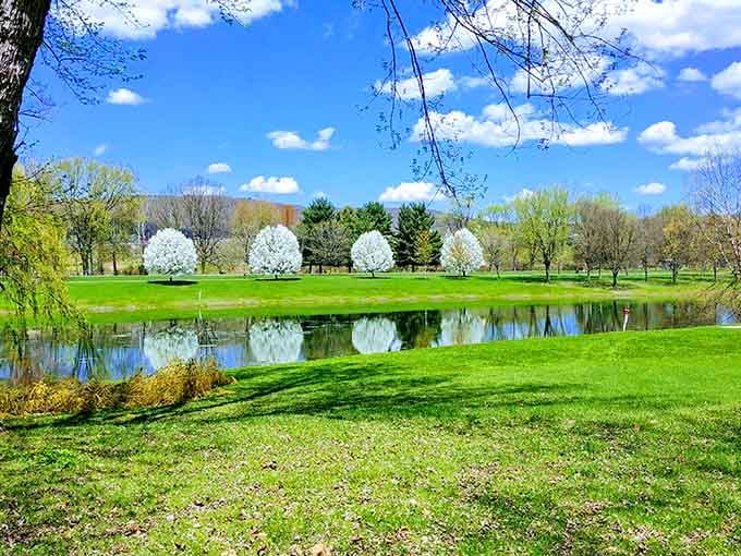 Otsiningo Park in spring looks like someone turned the brightness all the way up and forgot to turn it back down.