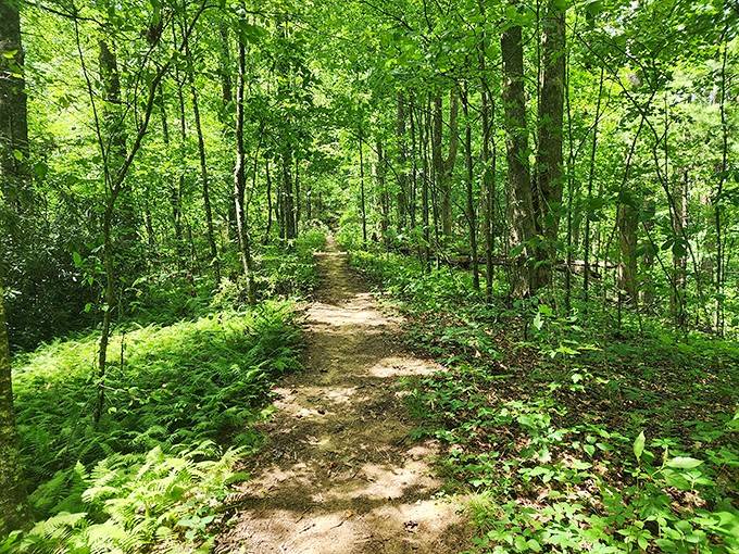 A trail so green and inviting, even your couch-loving self will want to lace up those hiking boots.