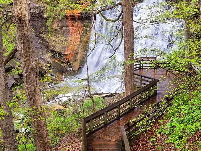 Spring brings fresh leaves and rushing water, proof that Ohio knows exactly how to do a comeback.