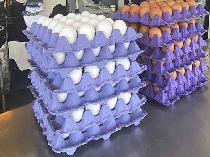 Fresh eggs stacked in cheerful purple cartons. Simple, beautiful, and exactly what your Saturday morning scramble has been waiting for.