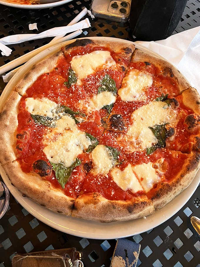 A proper Margherita with those telltale char marks that separate the amateurs from the wood-fired masters.