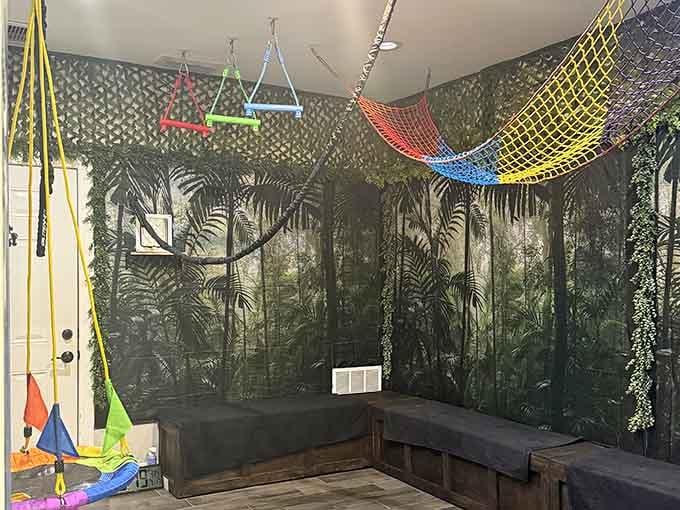 Colorful nets and hanging perches fill this playful room, designed for animals with serious acrobatic ambitions.