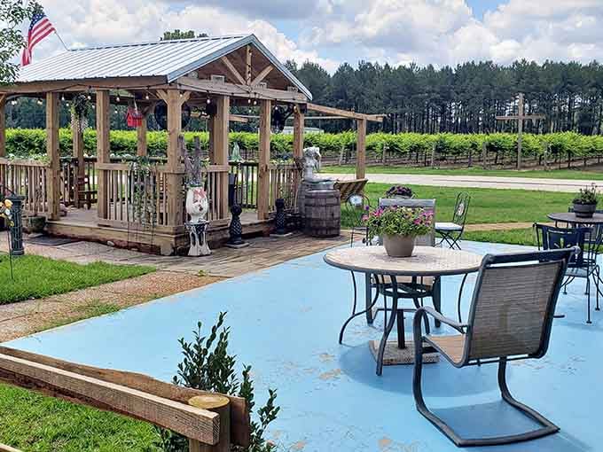 A covered patio with vineyard views where the hardest decision is which chair gets the best sunset.