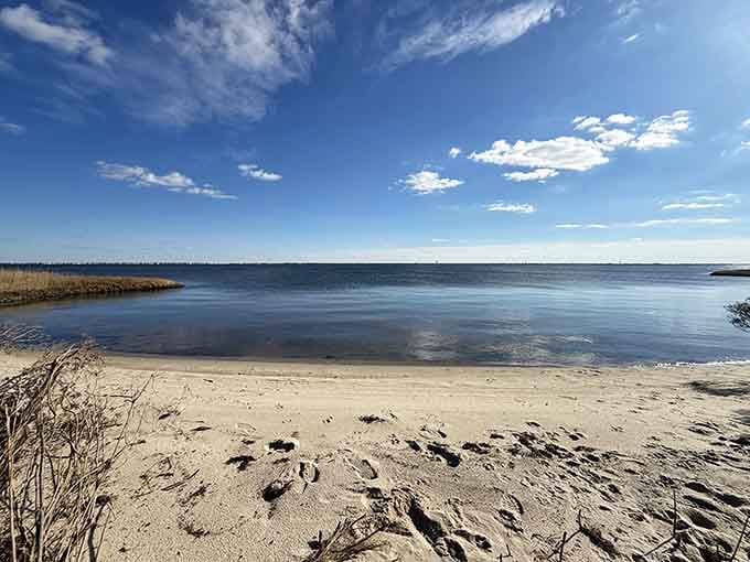 This tranquil bay beach makes you wonder why anyone fights for towel space at the crowded shore spots.