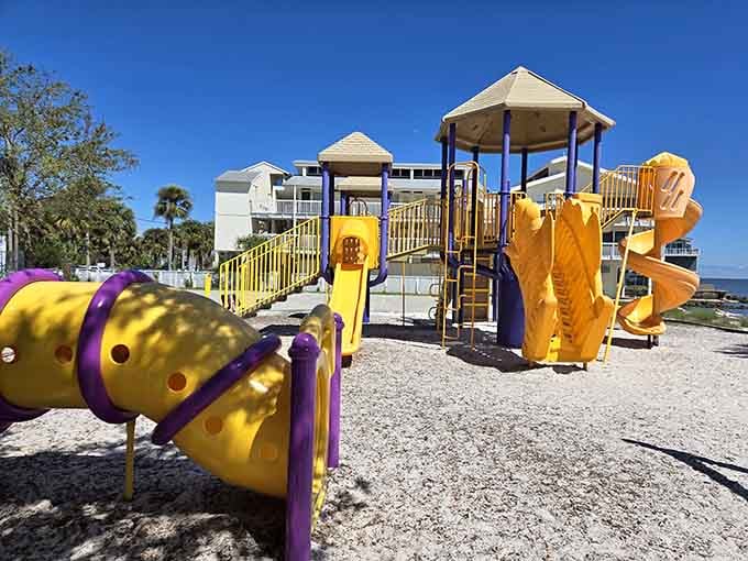 Lil Shark Park proves that even paradise needs a playground for kids who've somehow gotten bored of beaches.