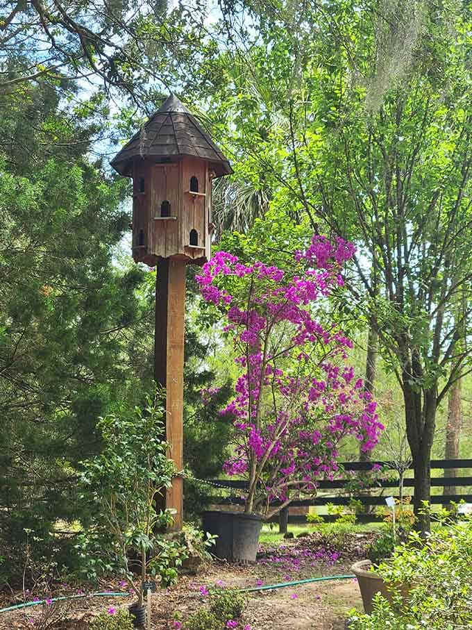 A towering birdhouse surrounded by blooming bougainvillea. Even the birds here live beautifully.