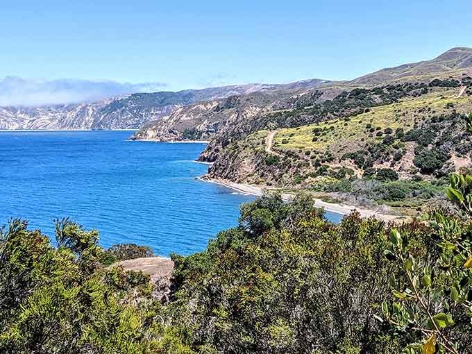 Rolling green hills meeting endless blue ocean, because California can't help but be dramatic about everything.