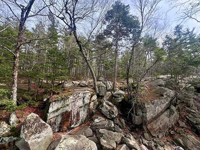 Boulders the size of small houses, scattered like the Ice Age forgot to tidy up.