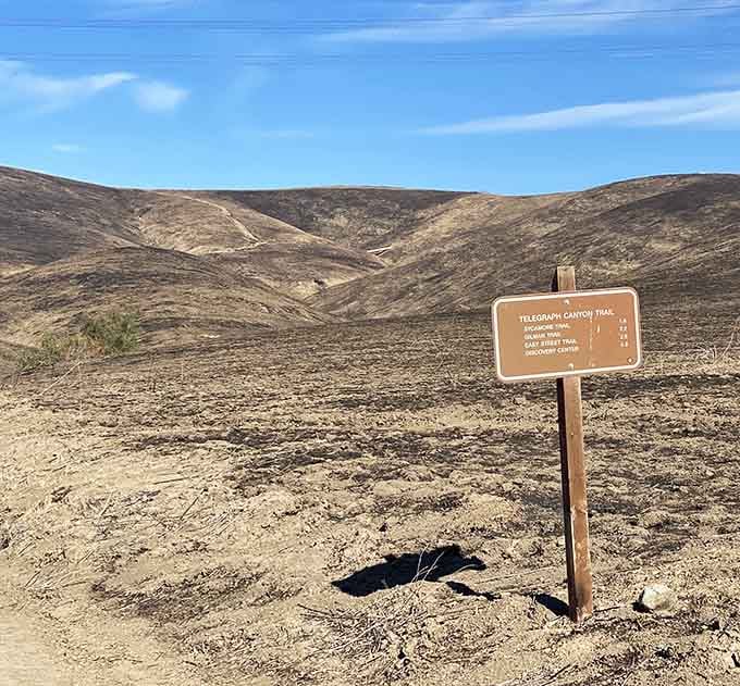 The Telegraph Canyon Trail sign pointing the way, because even paradise needs a little direction now and then.