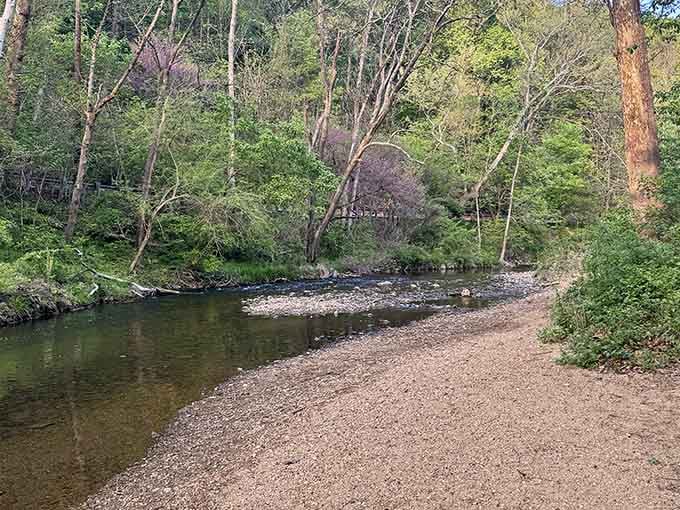 French Creek runs cool and clear nearby, adding a peaceful soundtrack to your woodland adventure.