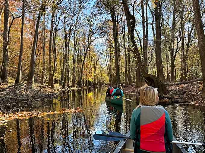 Paddling through Congaree's flooded forest feels like gliding through a scene from a very peaceful dream.