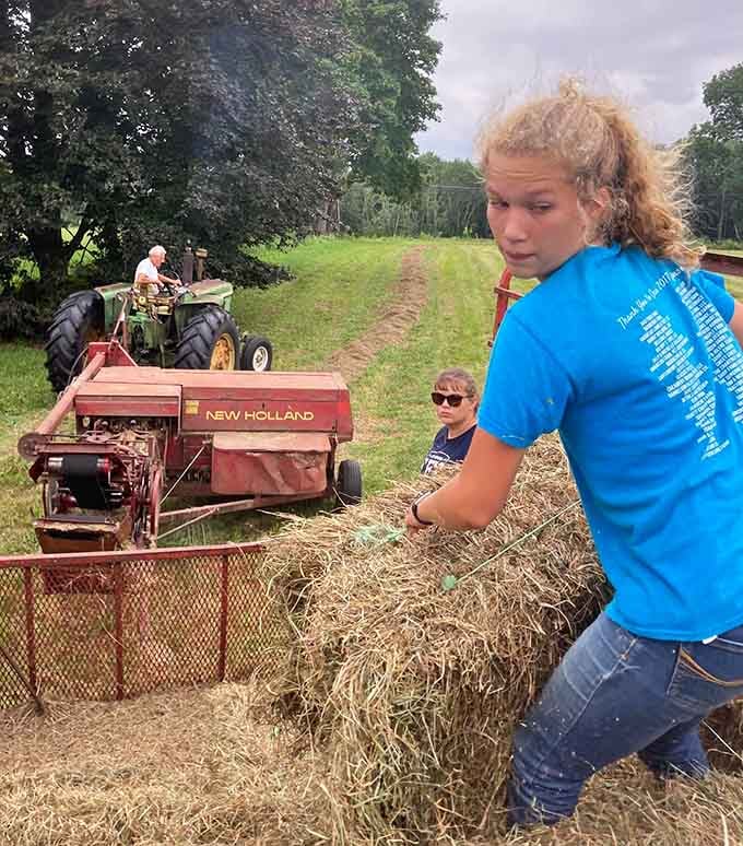 Three generations of hard work captured in one golden field, where the smell of fresh hay says everything words can't.