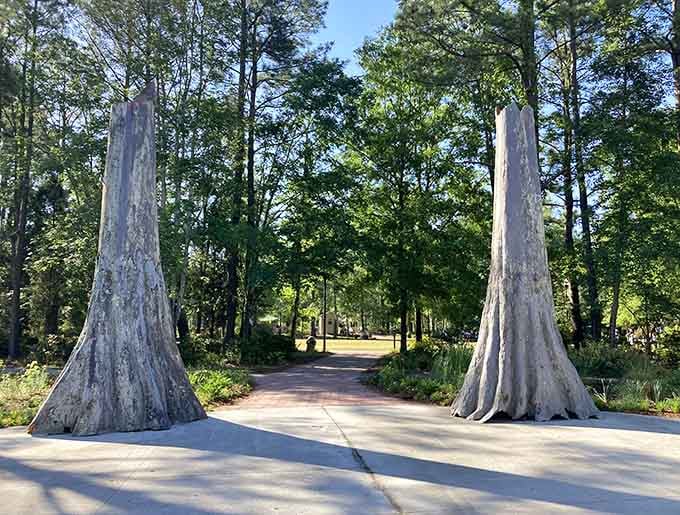 Two massive cypress trunks guard the entrance like bouncers who've been on the job for centuries.