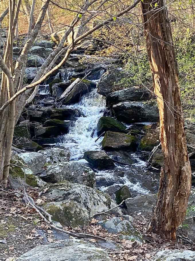 Danforth Falls doing what it does best, putting on a show for anyone willing to walk 1.2 miles.