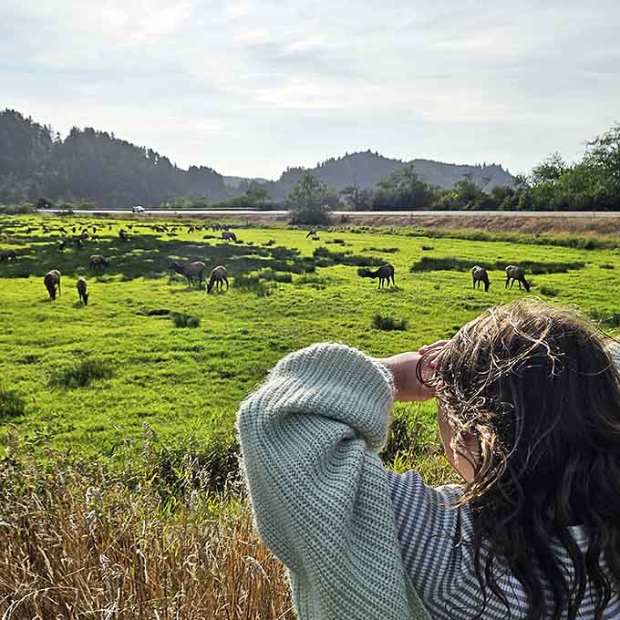 When the meadow calls, you answer, binoculars in hand and completely forgetting about your phone.