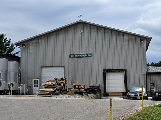 The wine bottle aging facility: where patience lives, and great things quietly happen behind closed doors.