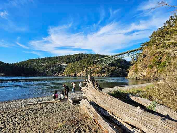 Families, driftwood logs, and that iconic bridge. This beach scene writes its own postcard.