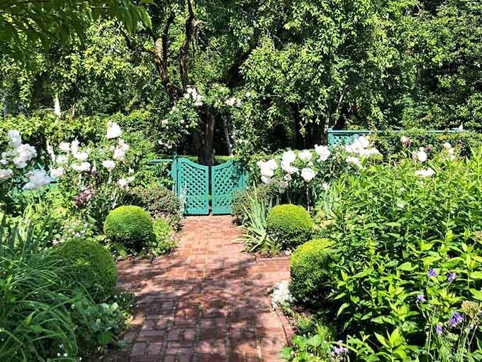 White roses spilling over a teal garden gate. This is what "free admission" looks like in Salem.