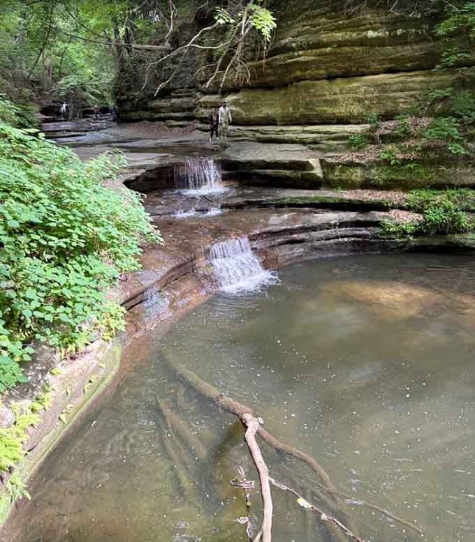 Water cascading down layered sandstone ledges, pooling below in perfect calm. Illinois really outdid itself here.