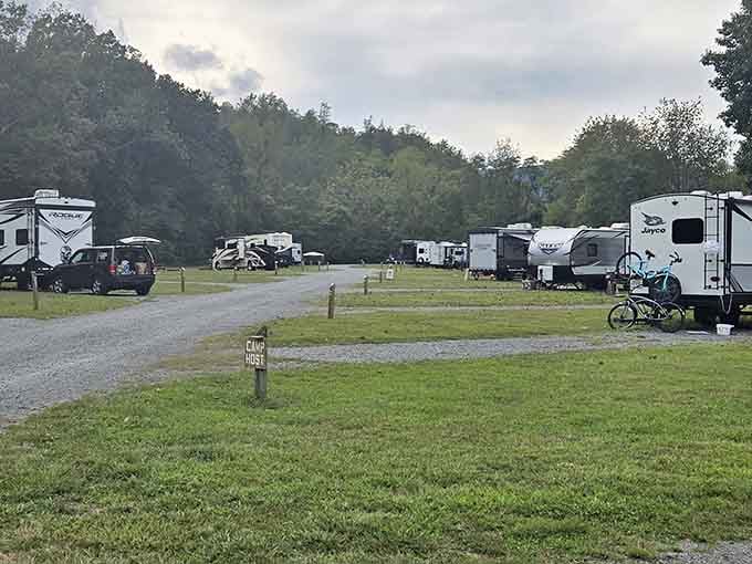 A "Camp Host" sign in a field full of RVs. Even in the middle of nowhere, someone's keeping things civilized and neighborly.
