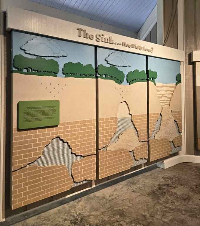 The visitor center's exhibit breaks down exactly how a sinkhole forms, and it's genuinely fascinating stuff.