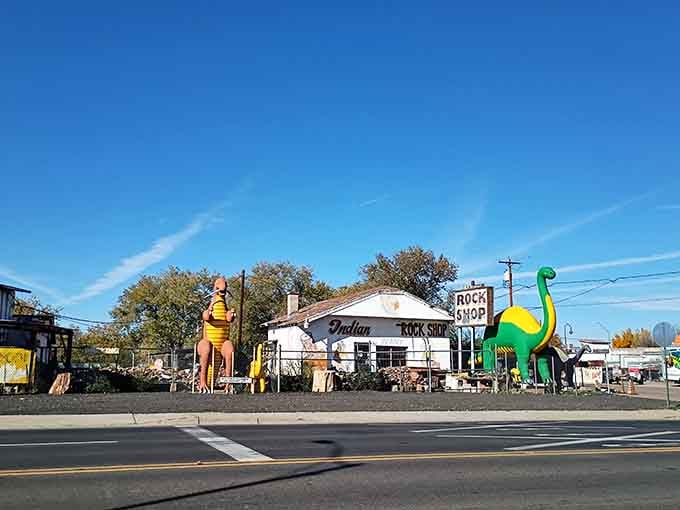 From across the street, this roadside spectacle stops traffic better than any red light ever could.