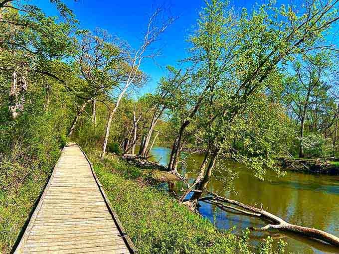 Boardwalks guide you through wetlands where nature does its thing without asking for your opinion or Instagram likes.