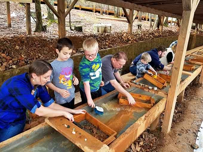 Row after row of sluice boxes, buckets of earth, and wide-eyed visitors chasing their next great find.