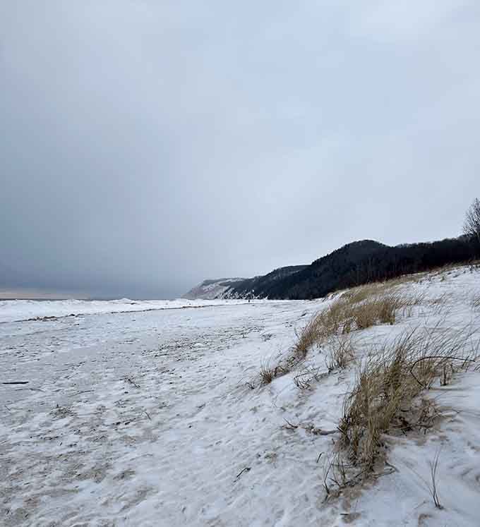 Esch Beach in winter is what happens when a beautiful place decides to get serious about itself.